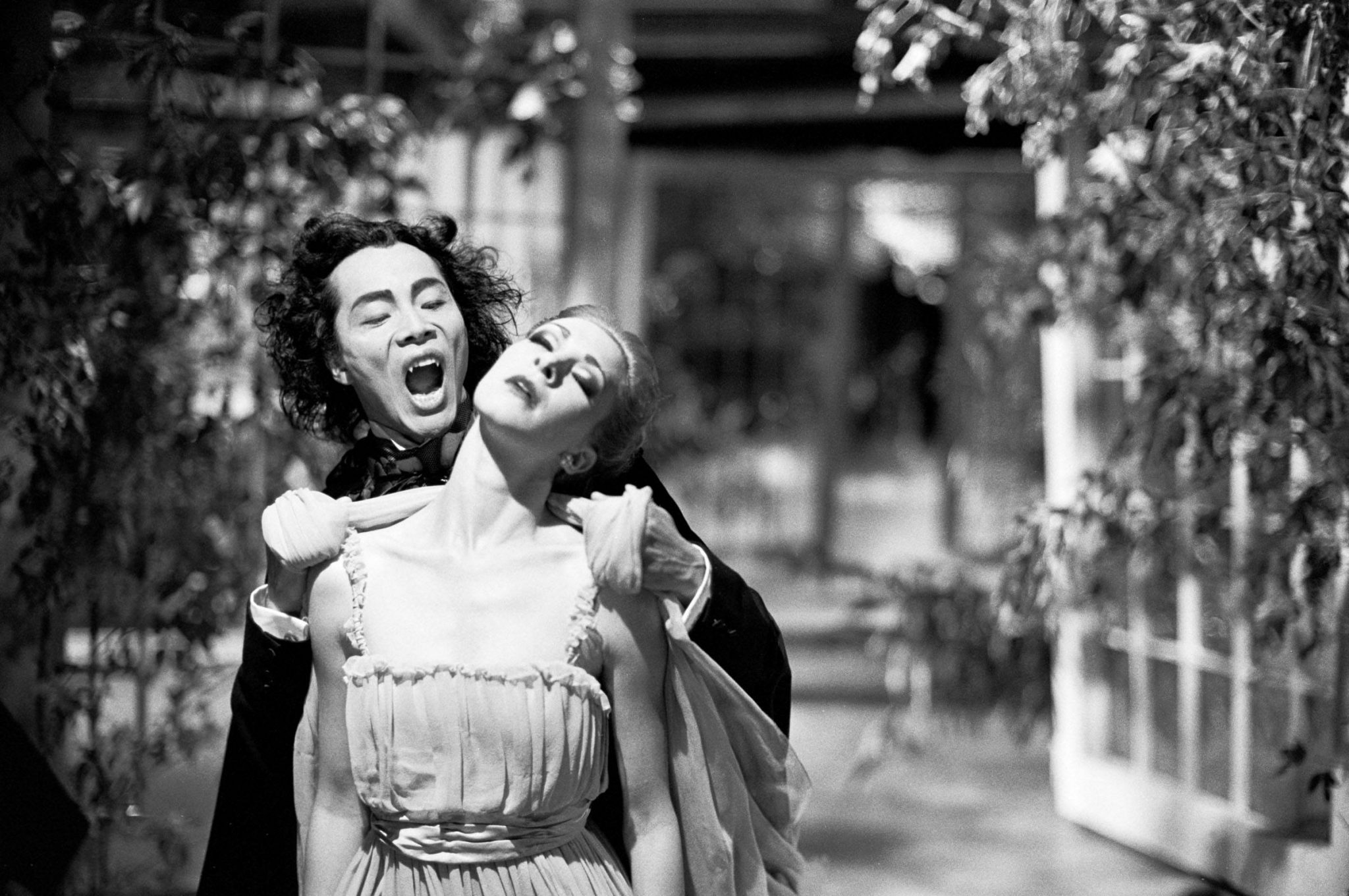 21st Century Maddin: Emerging from the Fog — Crooked Marquee